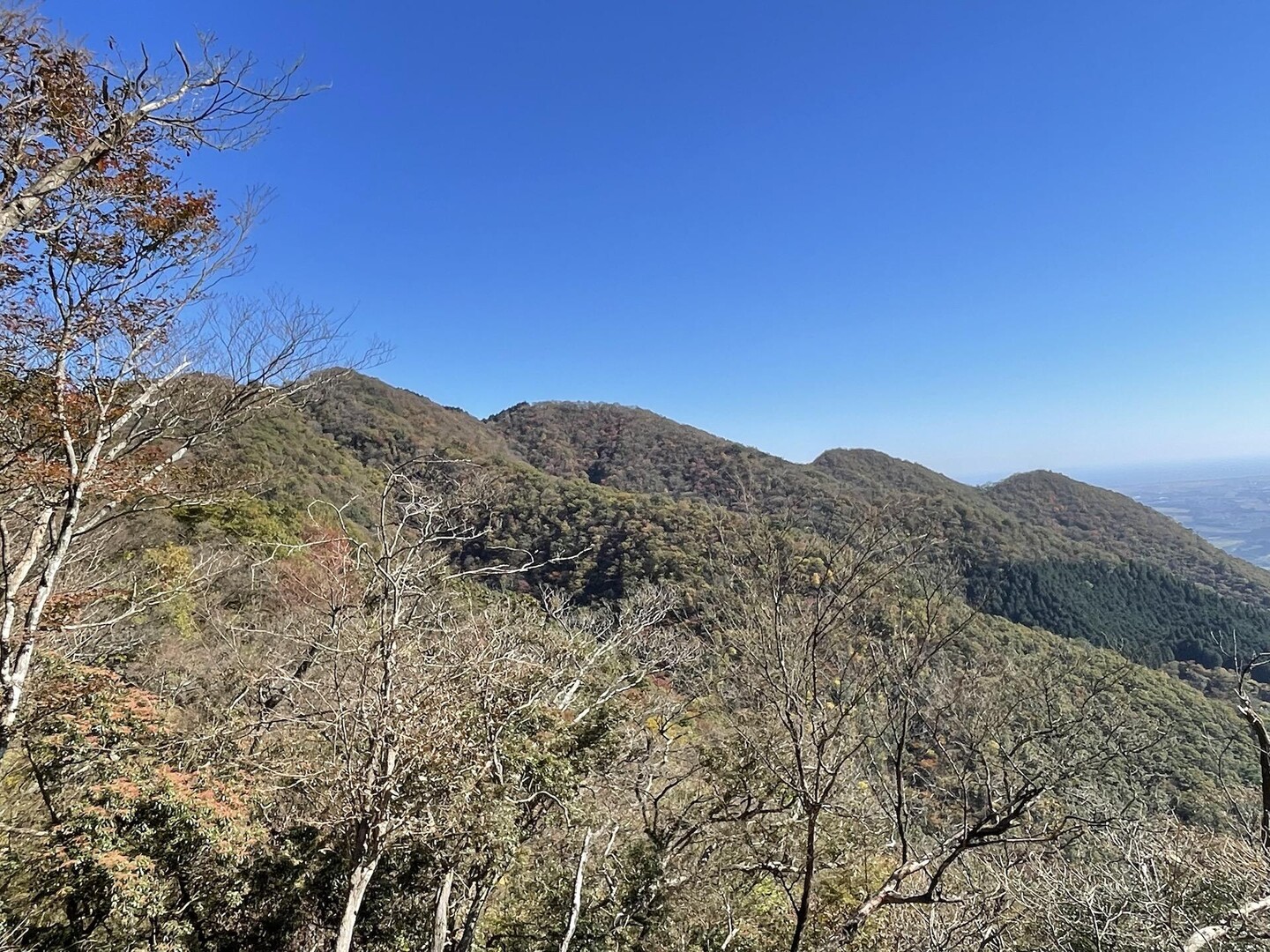 雲母峰🍁P791から宮妻渓へ / こごみさんの入道ヶ岳・鎌ヶ岳・仙ヶ岳の活動データ | YAMAP / ヤマップ