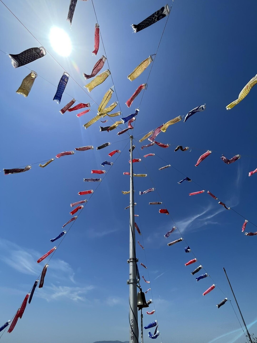 大平山の鯉のぼり🎏見てきました。 / ひよさんのモーメント | YAMAP / ヤマップ