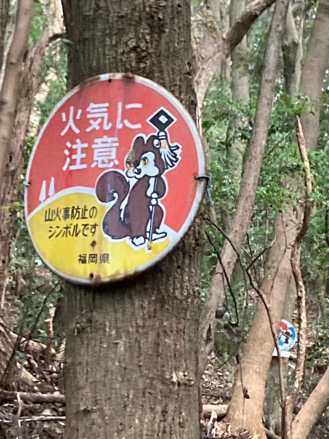 許斐山にて活動日記UP写真制限訓練登山 / ffさんの許斐山の活動データ | YAMAP / ヤマップ