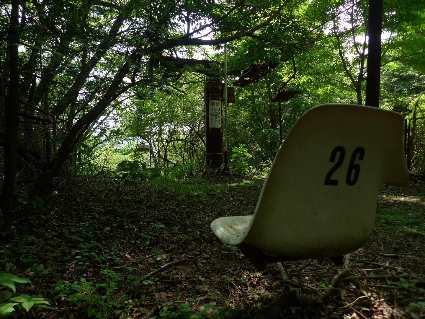 ノスタルジー&廃墟ハイクにご招待 / Shin Gさんの小鹿山の活動データ | YAMAP / ヤマップ