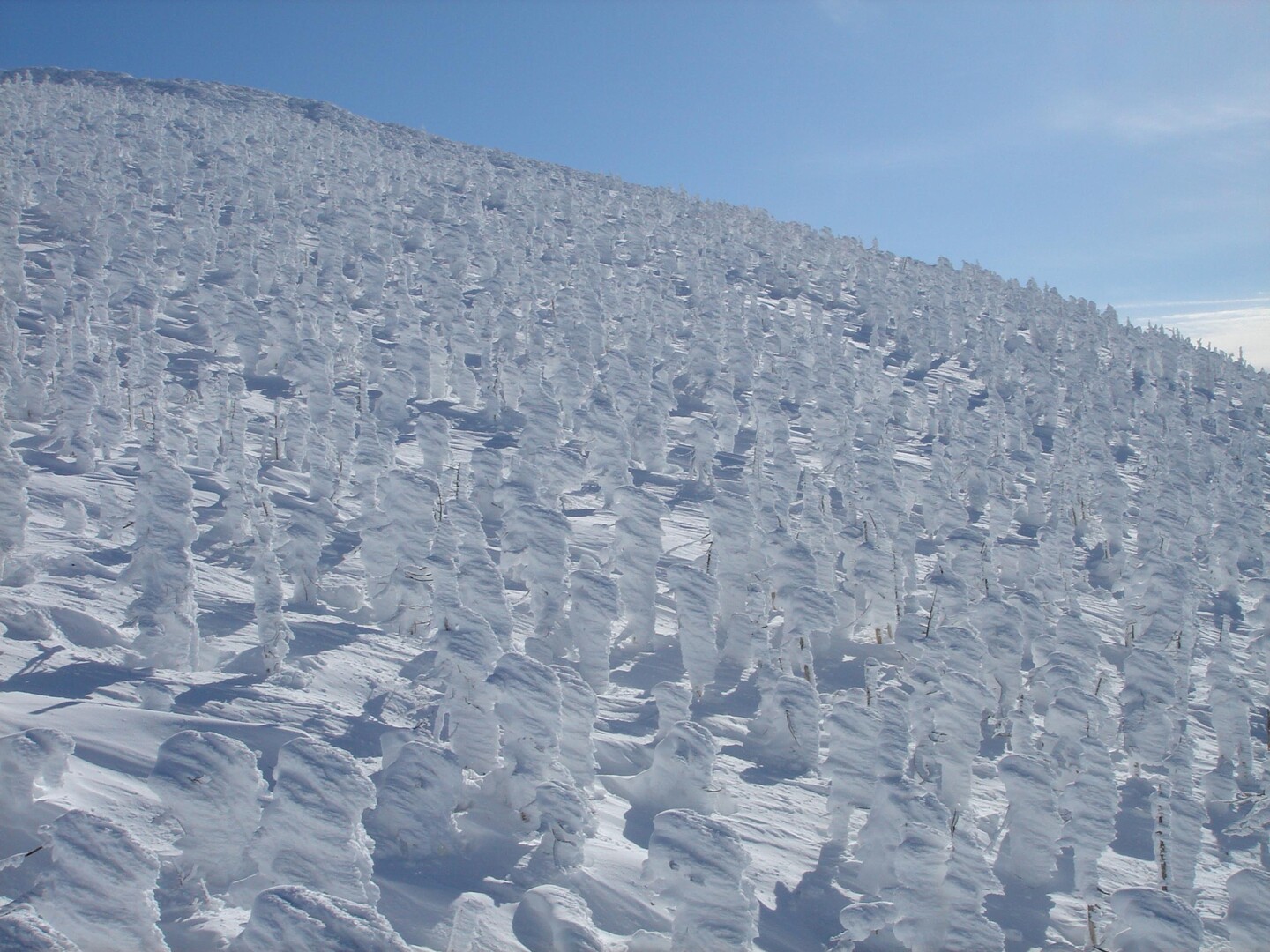 蔵王温泉スキー場 【16日目】 / enjoyさんの蔵王山・雁戸山・不忘山の活動データ | YAMAP / ヤマップ