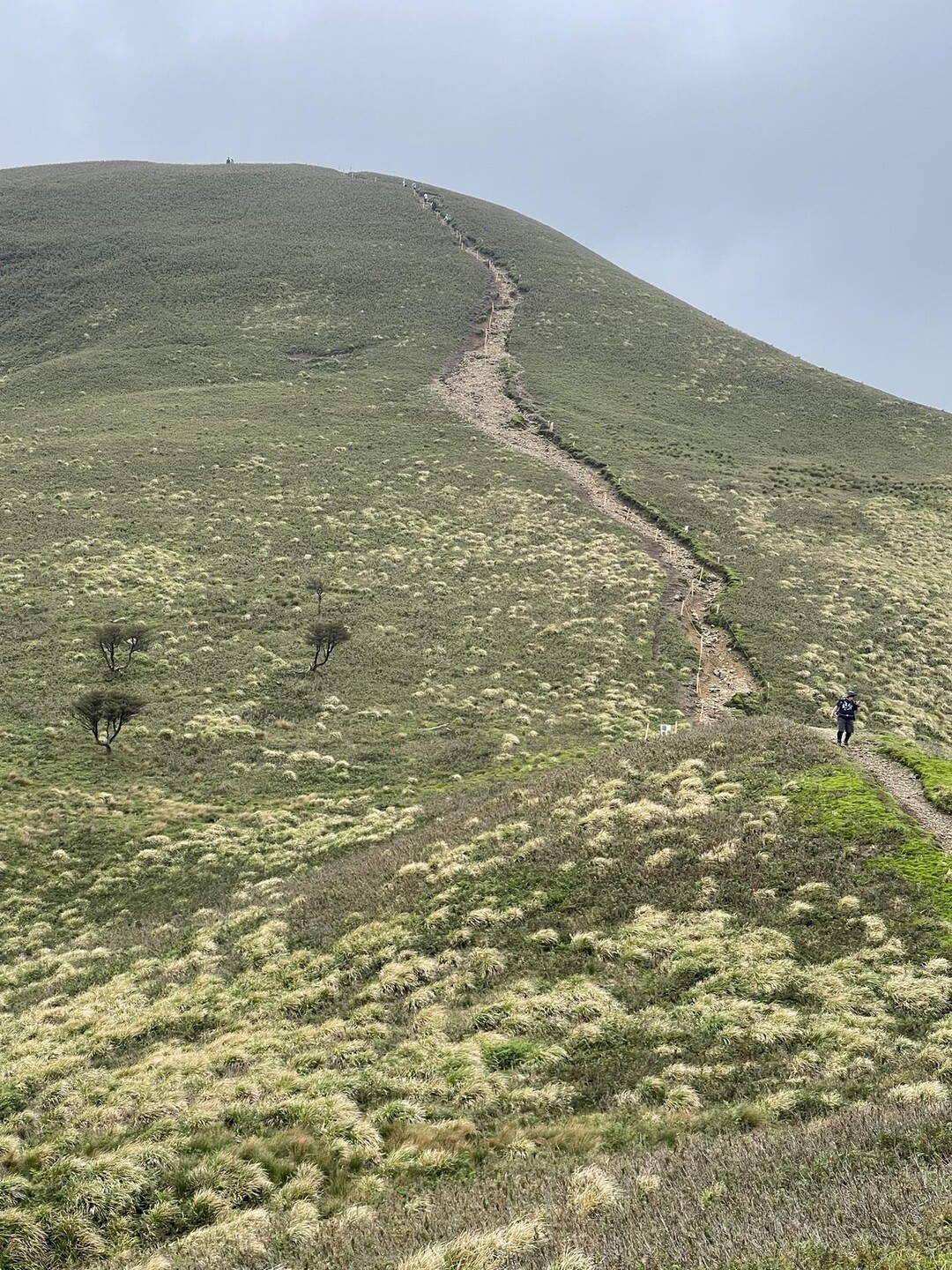 また竜ヶ岳？どんだけ好き？の回 / YOKOさんの竜ヶ岳の活動データ | YAMAP / ヤマップ