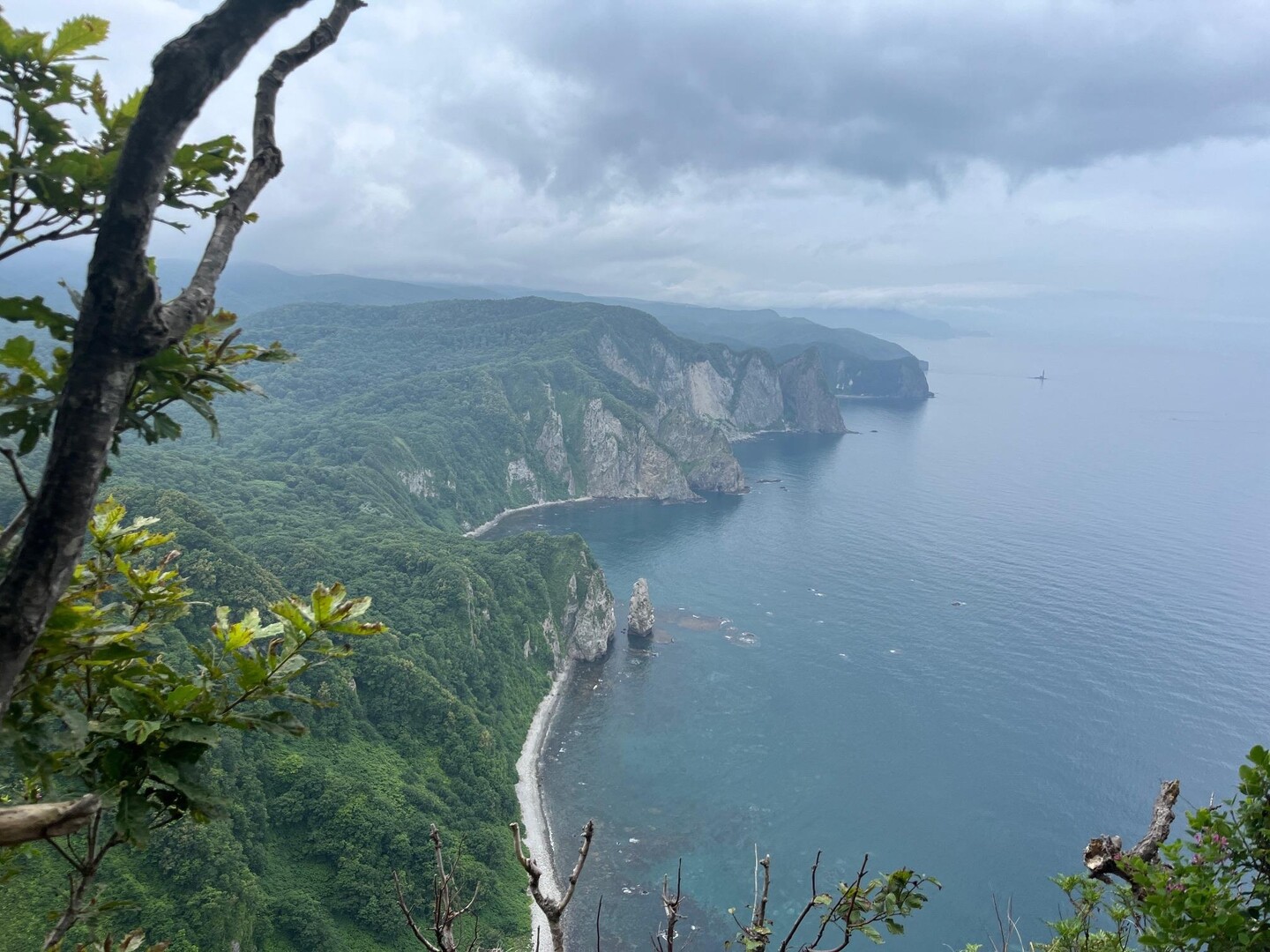 尻場山 / Mune🐻さんの尻場山の活動データ | YAMAP / ヤマップ
