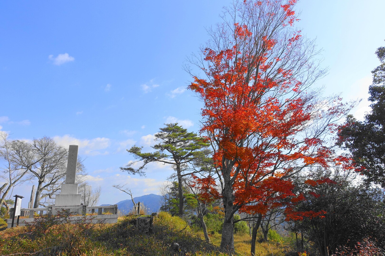 高城山 / ほこ杉さんの高城山の活動データ | YAMAP / ヤマップ