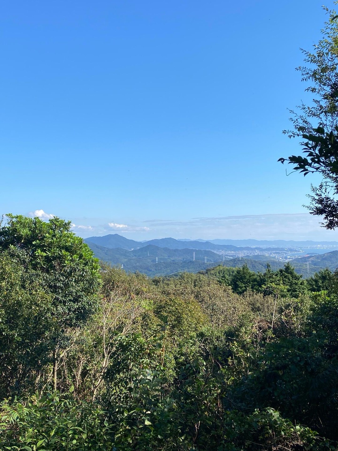 西茶臼山・イナバ山・茶臼山・乙女峠 / Chayaさんの茶臼山・万灯山の活動データ | YAMAP / ヤマップ