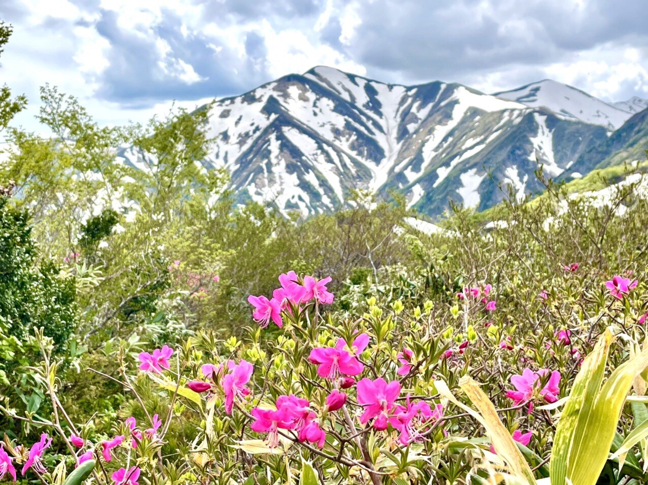 古寺山・小朝日岳・大朝日岳・鳥原山・畑場峰 Akiba さんの大朝日岳・朝日連峰・祝瓶山の活動データ Yamap ヤマップ