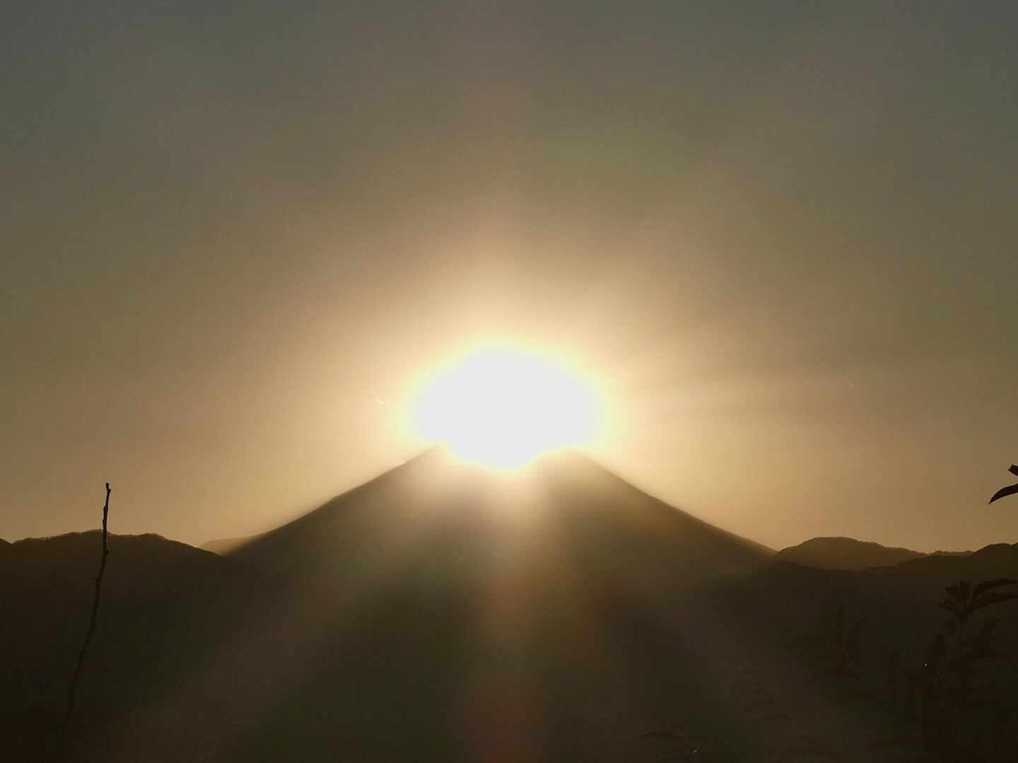 高尾山 今年もお世話になりました / skipさんの高尾山・陣馬山・景信山の活動データ | YAMAP / ヤマップ