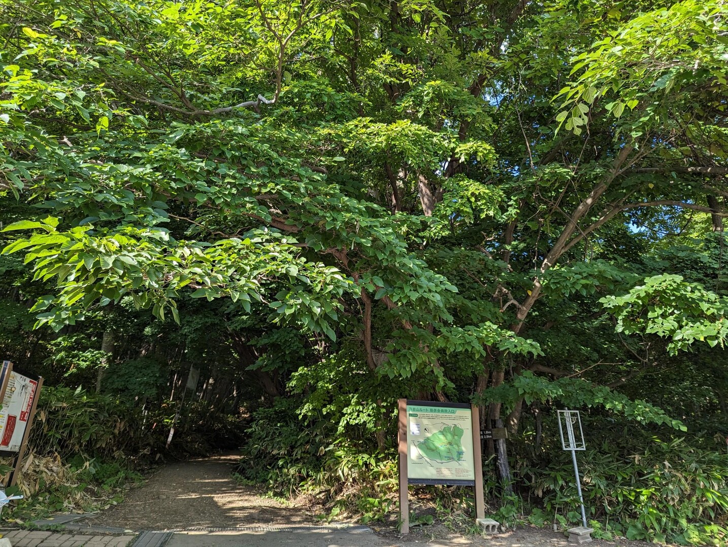 藻岩山-2023-07-29 / hdl(はる)さんの藻岩山の活動データ | YAMAP / ヤマップ