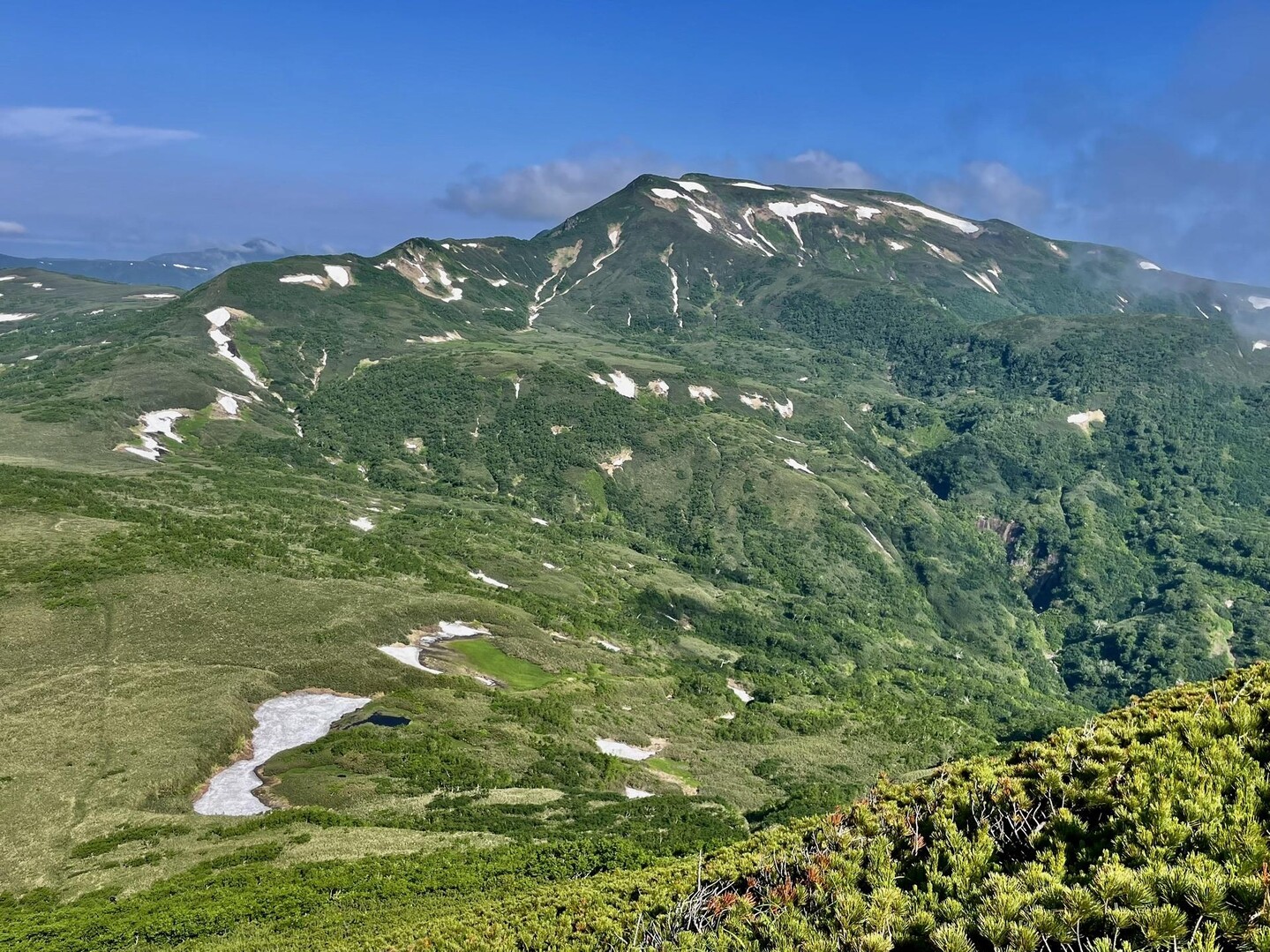 南暑寒岳 2023-07-02 / やっくさんの暑寒別岳の活動データ | YAMAP / ヤマップ