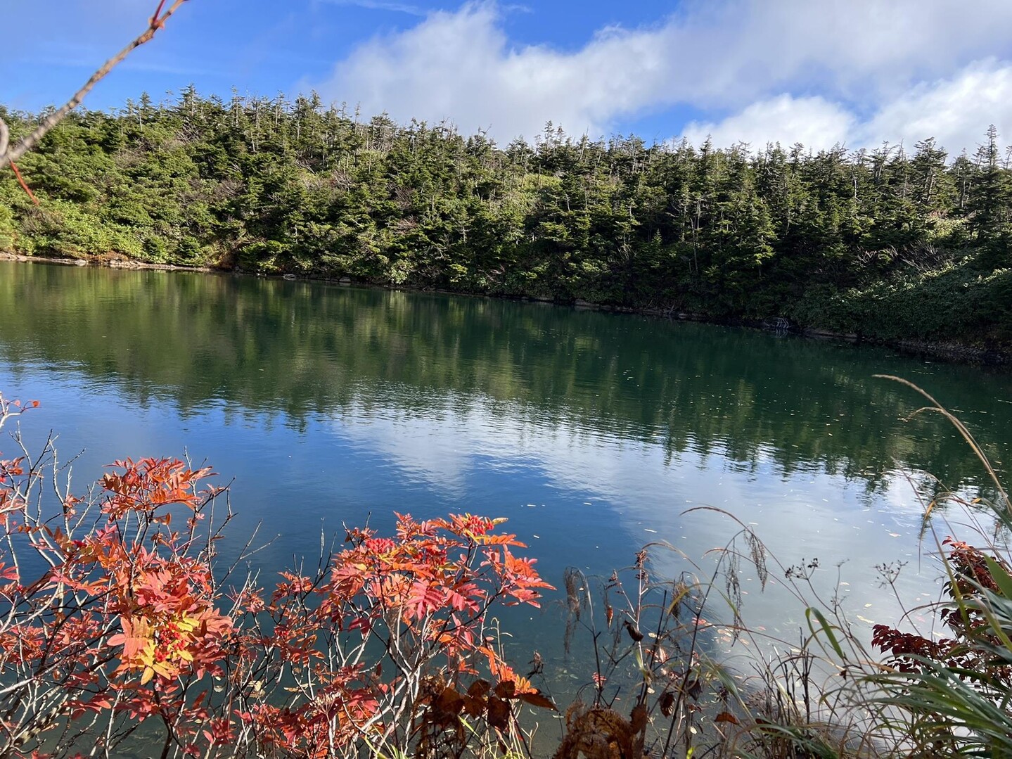 のんびり八幡平・源太森ハイキング🍁 / Akoさんの八幡平・源太森・安比岳の活動データ | YAMAP / ヤマップ