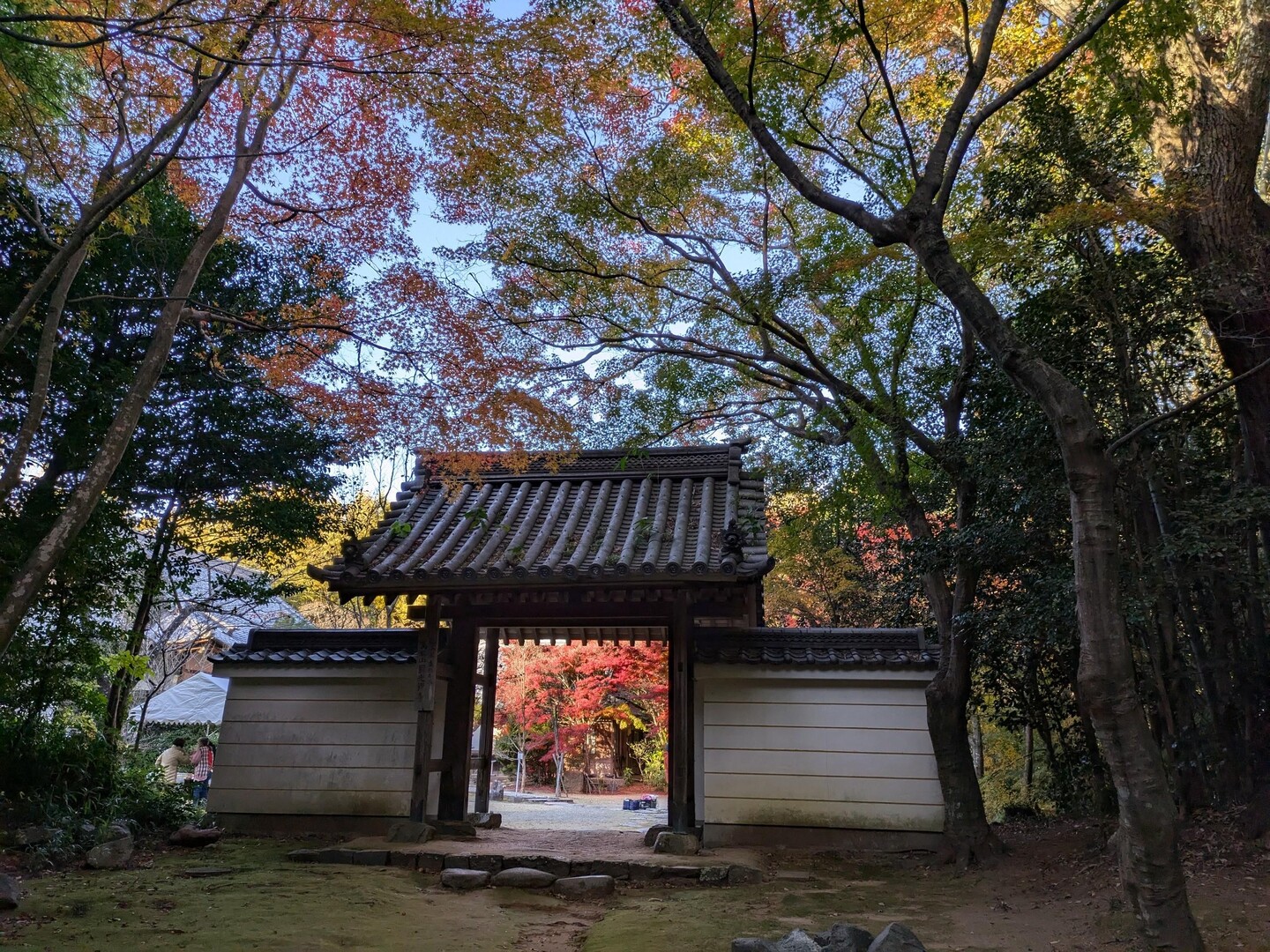 2024.12.7 津市河芸町の円光寺に... / Izumi.Kさんのモーメント | YAMAP / ヤマップ