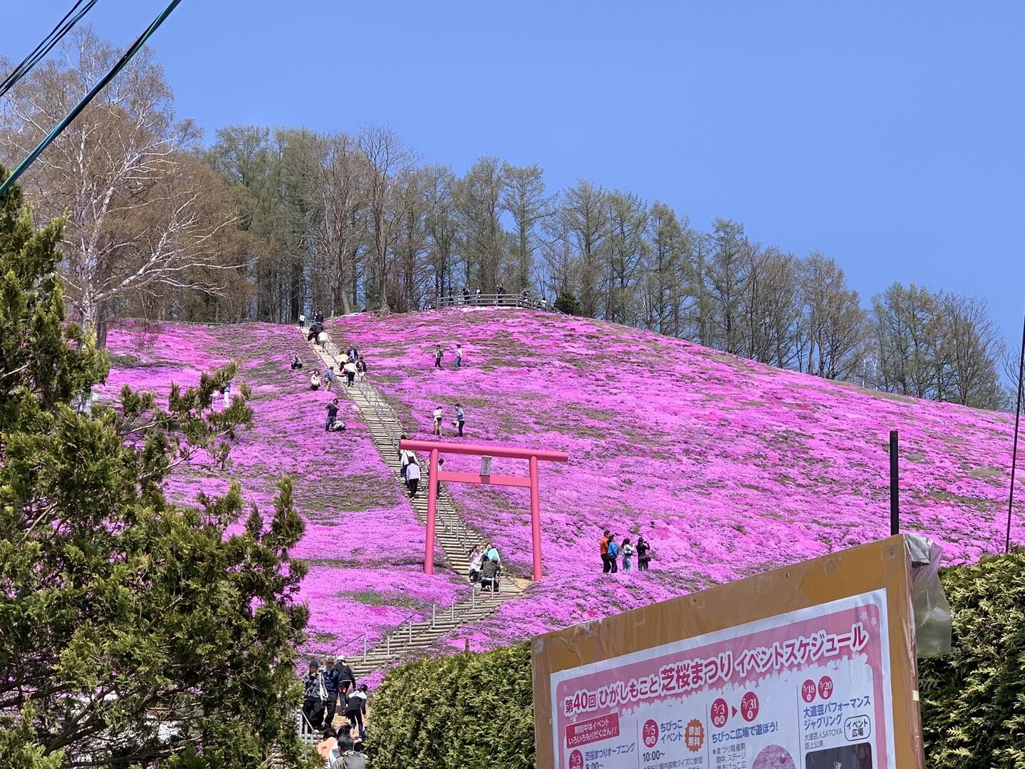 真っ白藻琴山!!⑭ / 泥酔職人 Nabeさんの藻琴山の活動データ | YAMAP / ヤマップ