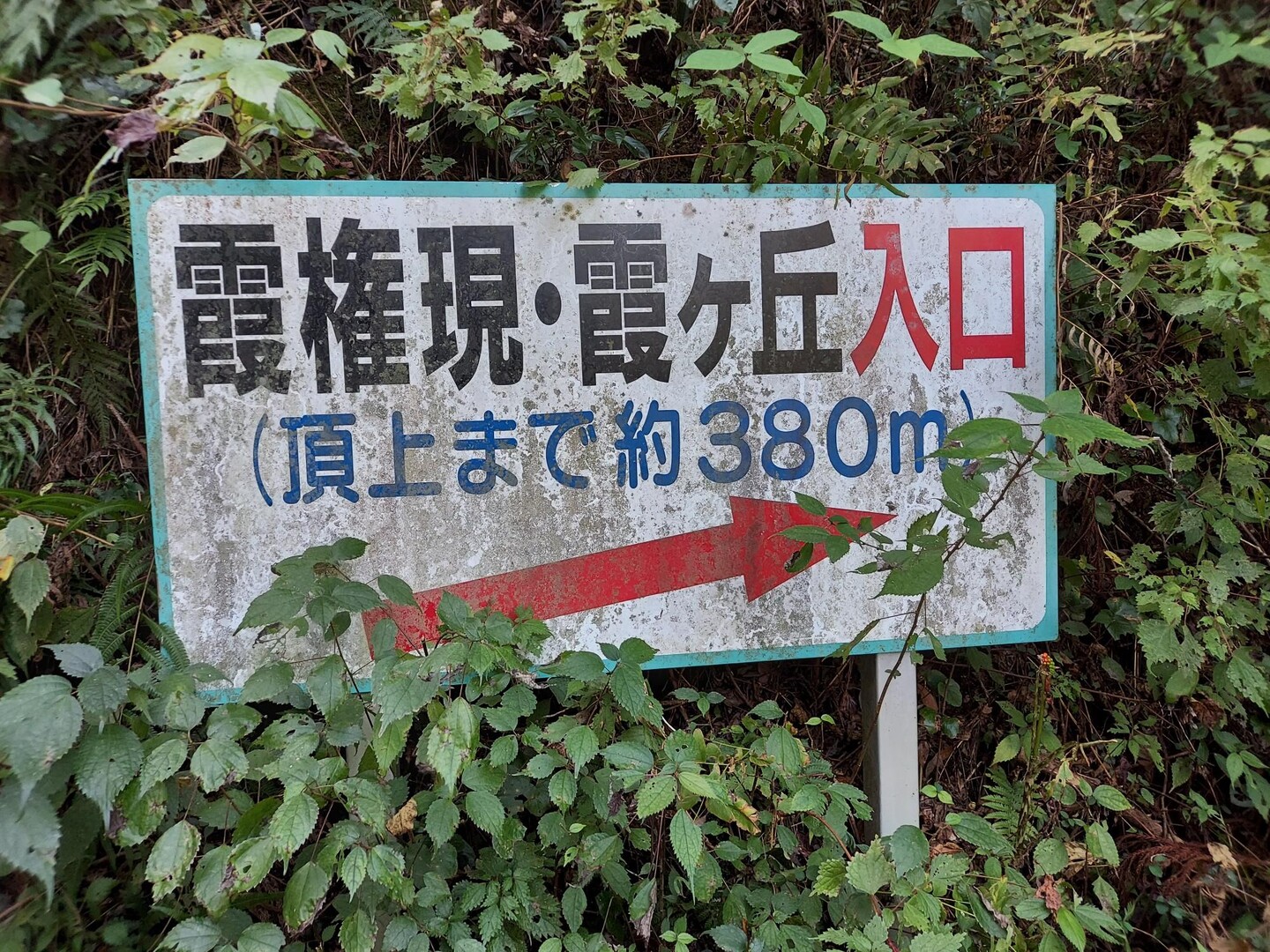 小林市野尻町 霞ヶ丘 / derainandreさんの高原町の活動データ | YAMAP / ヤマップ