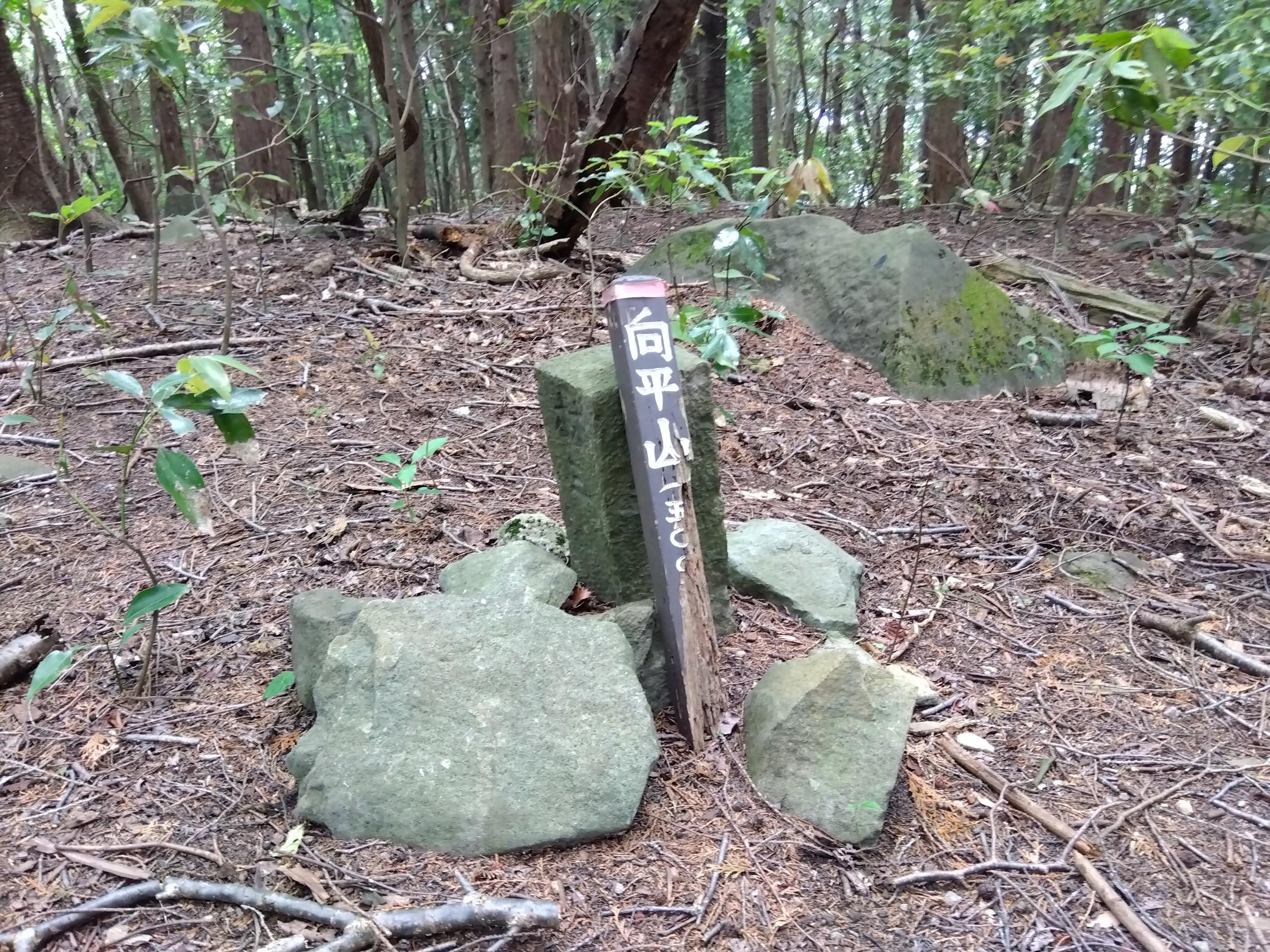 向平山 (別府市) / senbu2(センブツ)さんの小鹿山の活動データ | YAMAP / ヤマップ