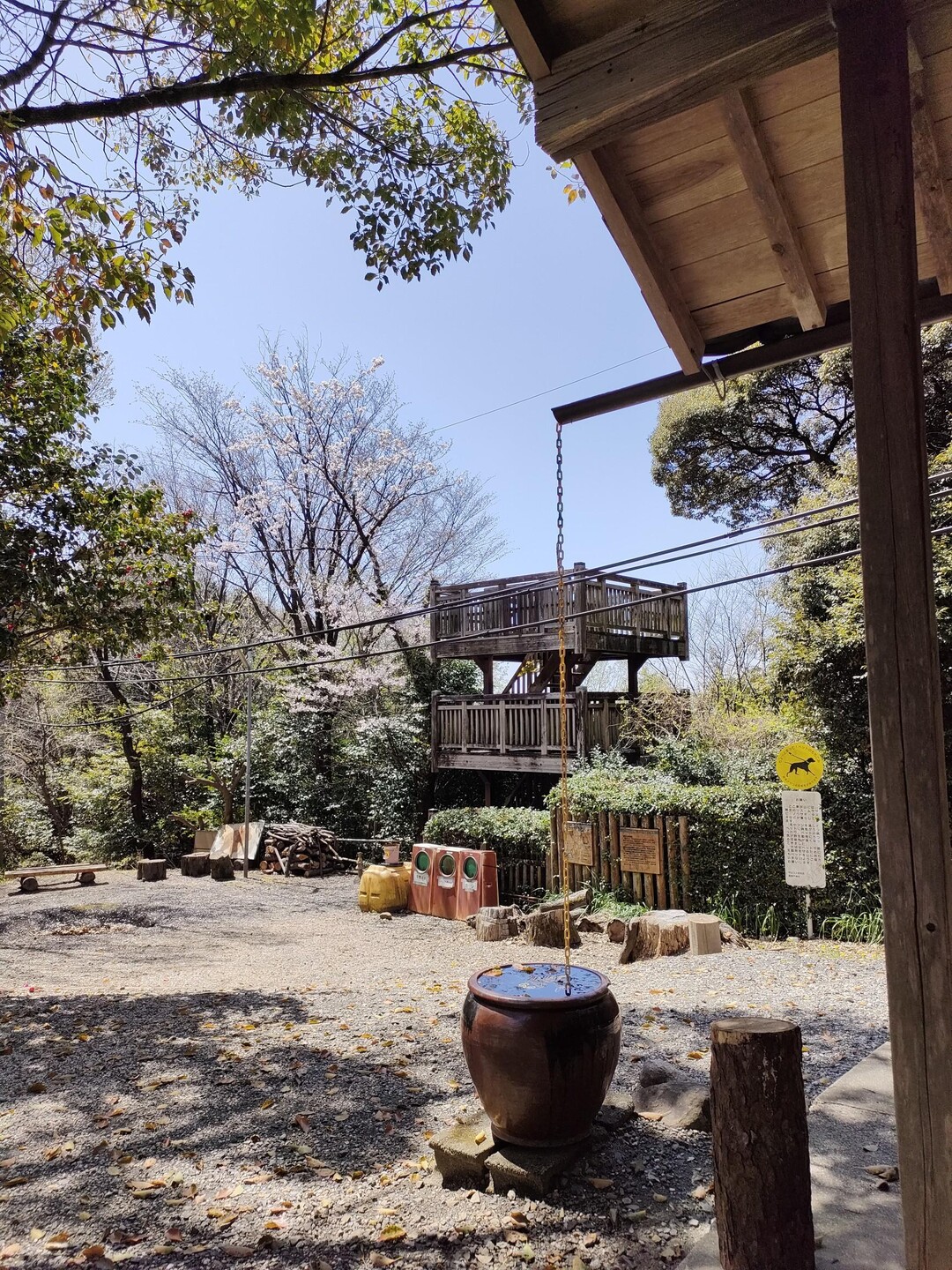 東谷山&フルーツパーク桜祭り / mocchiさんの春日井三山・弥勒山・大谷山・道樹山の活動データ | YAMAP / ヤマップ