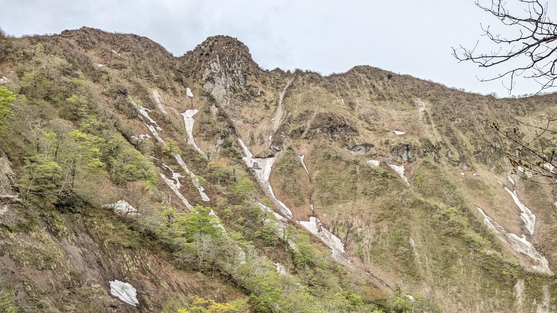 GW4日目、迫力満点！ヤバいよ烏ヶ山・象山(笹ヶ峰)・擬宝珠山 / seigoさんの大山・甲ヶ山・野田ヶ山の活動データ | YAMAP / ヤマップ