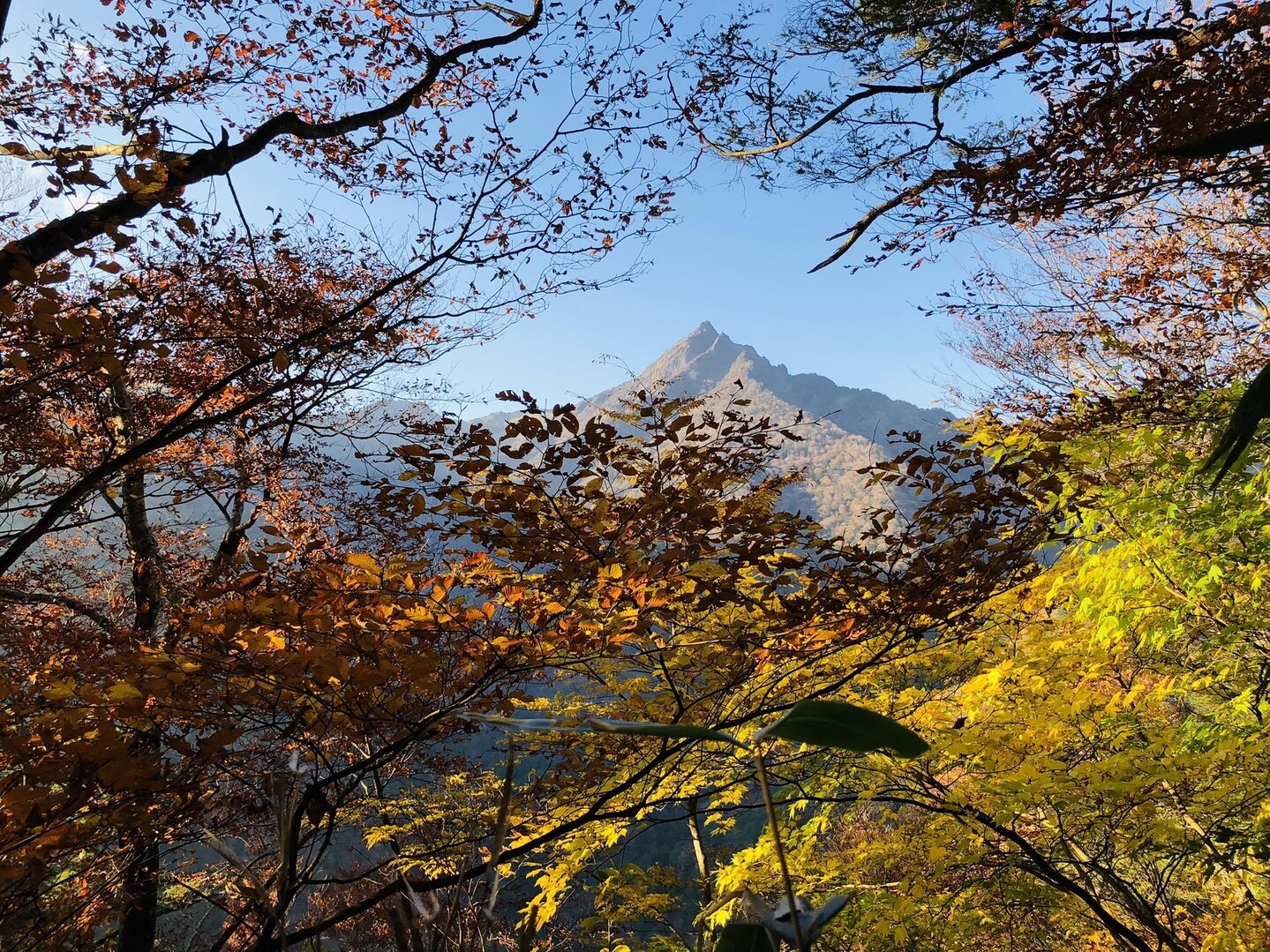 御来光の滝 / CHAさんの石鎚山・堂ヶ森・二ノ森の活動データ | YAMAP / ヤマップ