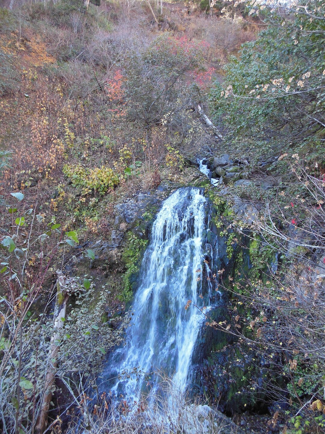 平山 / taikaと銀子さんの登山の活動データ | YAMAP / ヤマップ
