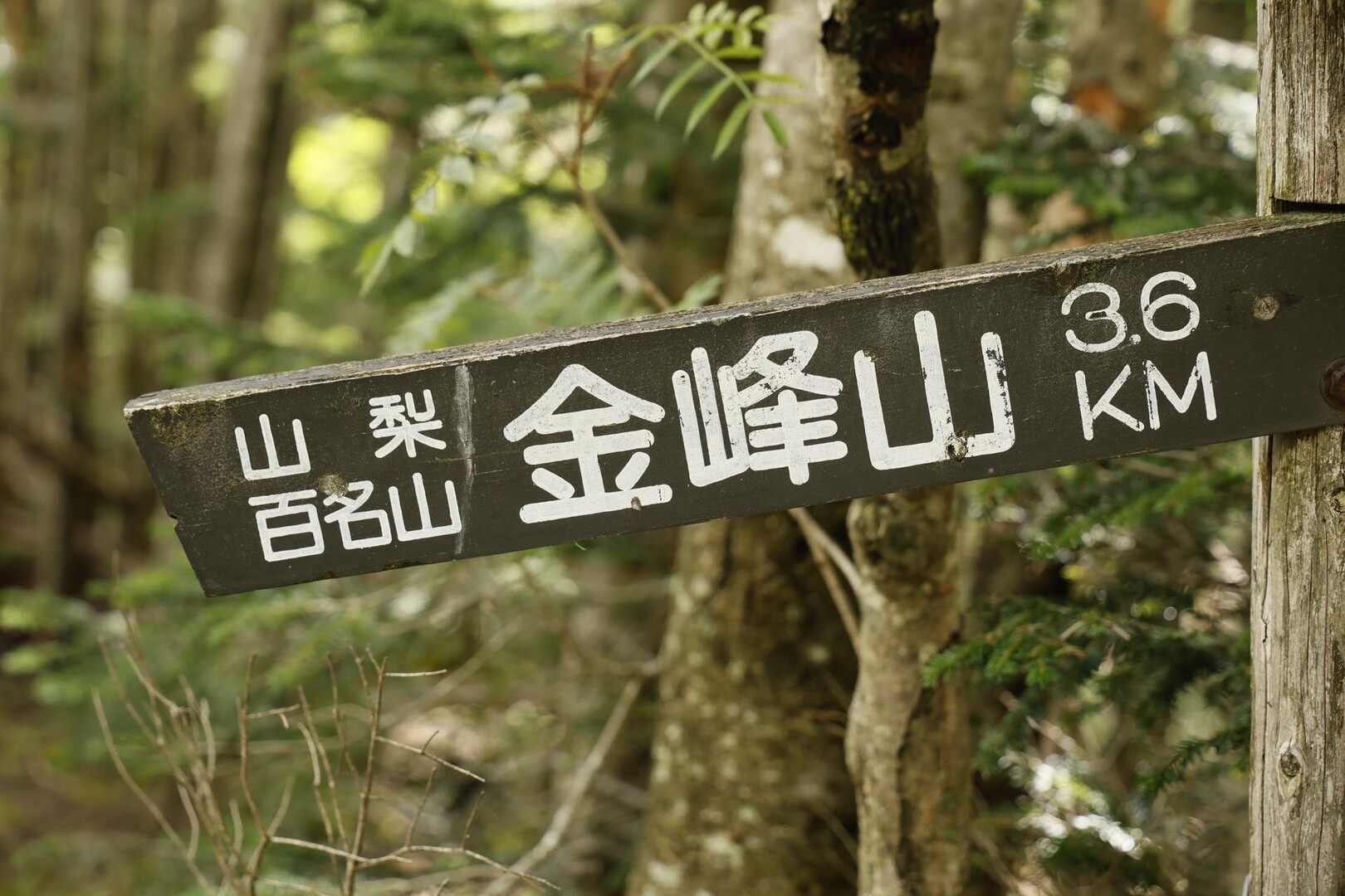 朝日岳・鉄山・金峰山（甲州御岳山） / 侑さんの瑞牆山・金峰山の活動データ | YAMAP / ヤマップ