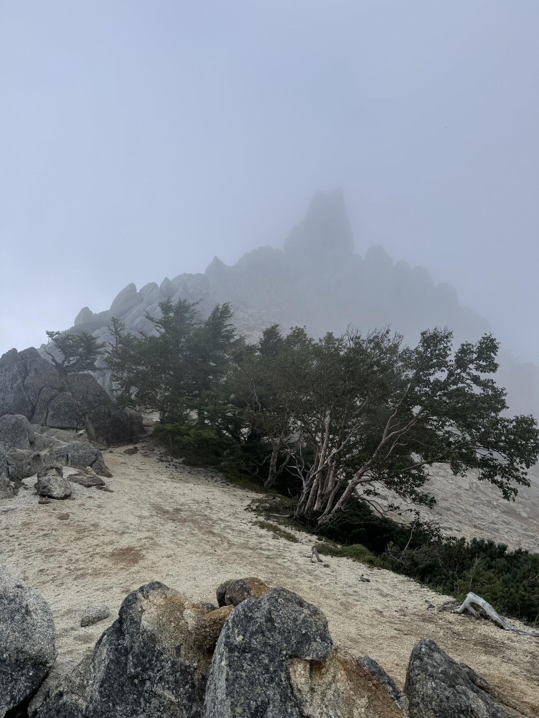 息子と2人で鳳凰三山縦走 / syu8_PPさんの鳳凰山・地蔵岳・観音岳・薬師岳の活動データ | YAMAP / ヤマップ