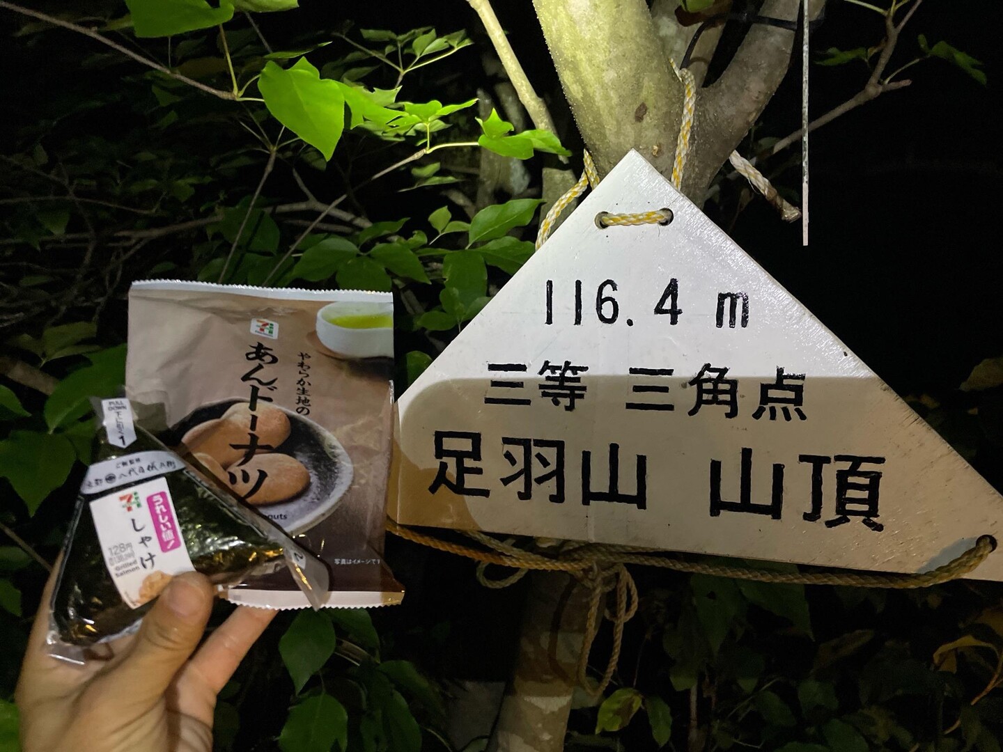 （後編）しゃけ&足羽 / JOG太郎さんの足羽山・八幡山・兎越山の活動データ | YAMAP / ヤマップ