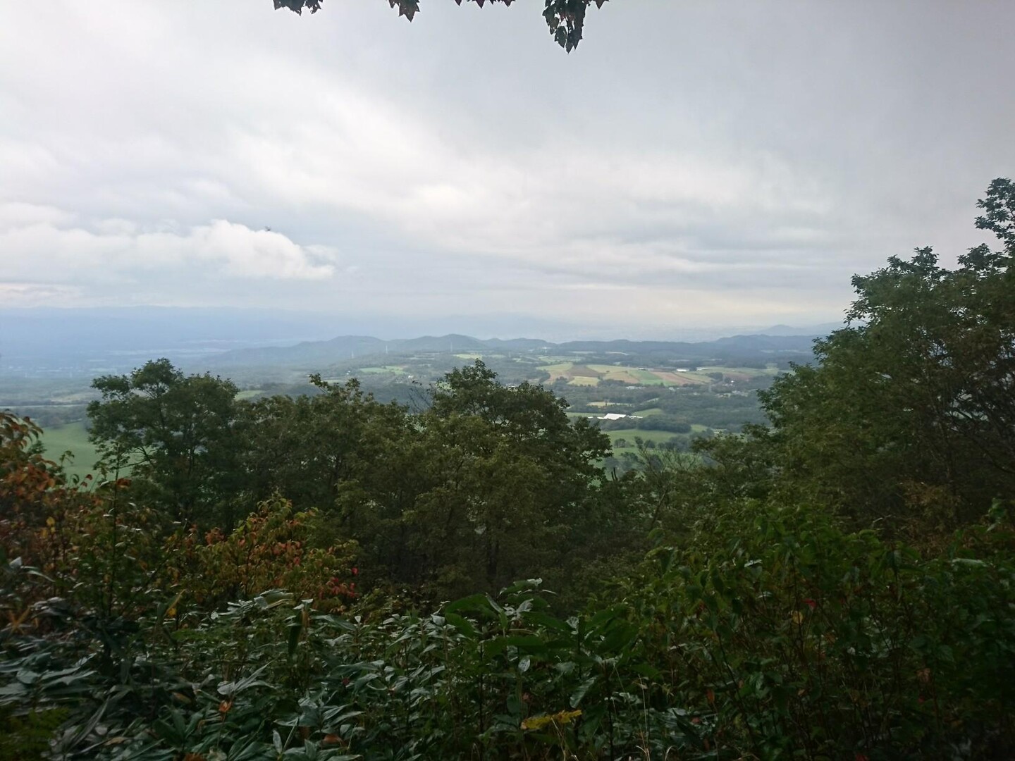 2022.10.8 鞍掛山 / takeさんのモーメント | YAMAP / ヤマップ