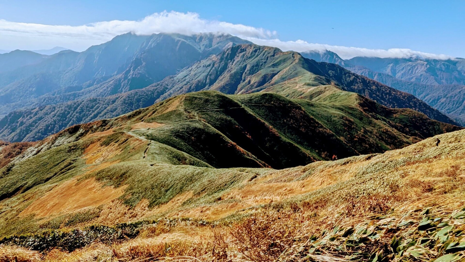 今年7回目の谷川岳馬蹄形 (通算14回目) / wirryさんの谷川岳・七ツ小屋山・大源太山の活動データ | YAMAP / ヤマップ