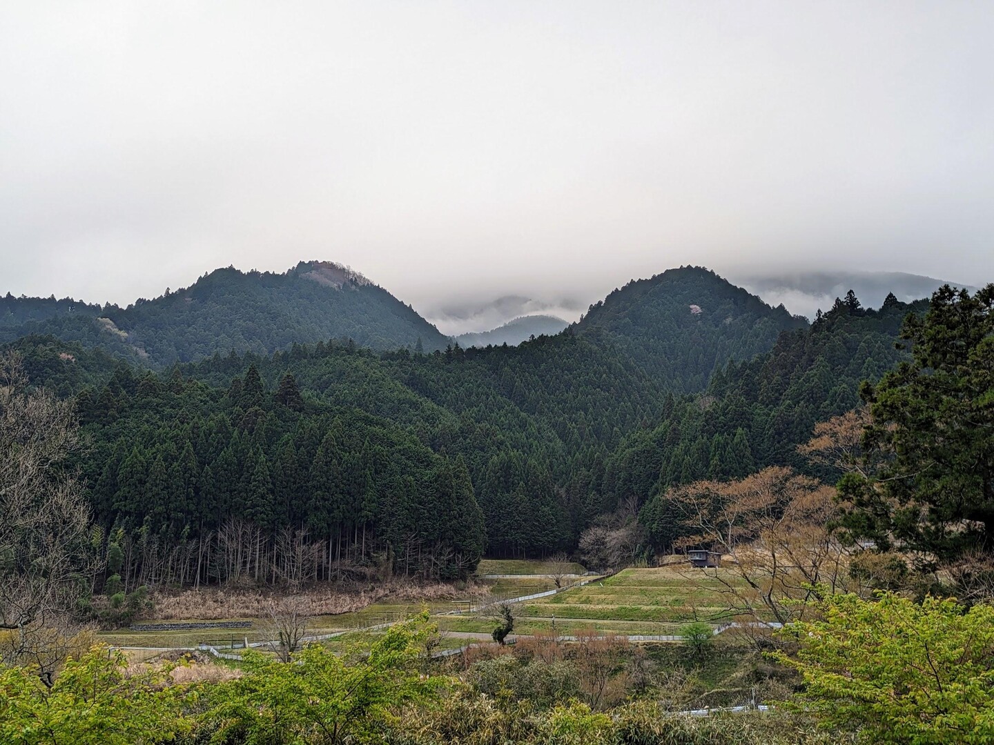 😃学能堂山💦関西百名山#65 / "satoh"さんの三峰山・学能堂山・栗ノ木岳の活動データ | YAMAP / ヤマップ