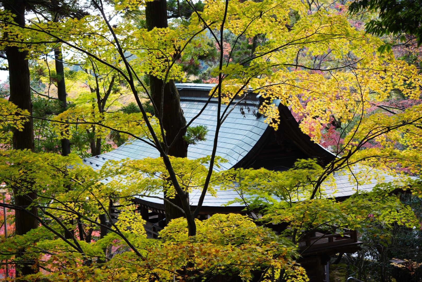 『今週は何曜日に山かな？』と少し嫌味ぽく... / kazashiさんのモーメント | YAMAP / ヤマップ