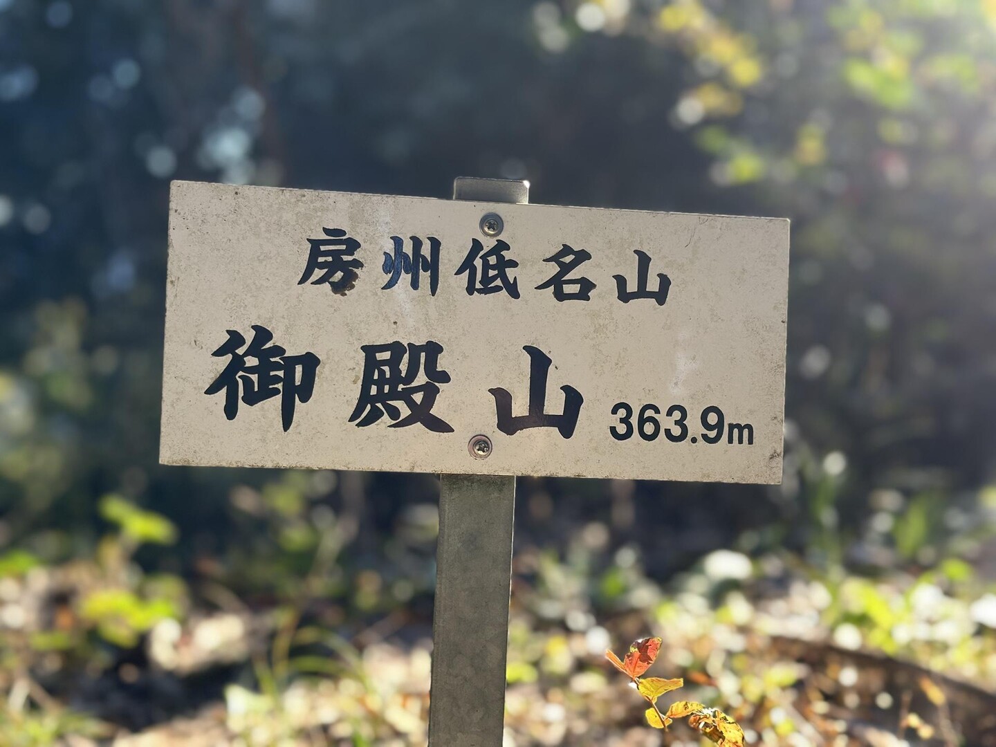 御殿山 / kasumiさんの御殿山・大日山の活動データ | YAMAP / ヤマップ